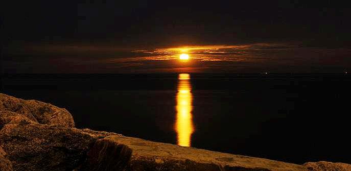 “Oh ! Lord Krishna, now at this moment let the royal swan of my mind ...